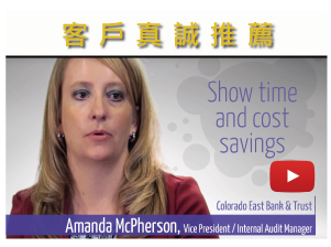 JACKSOFT ACL電腦稽核軟體